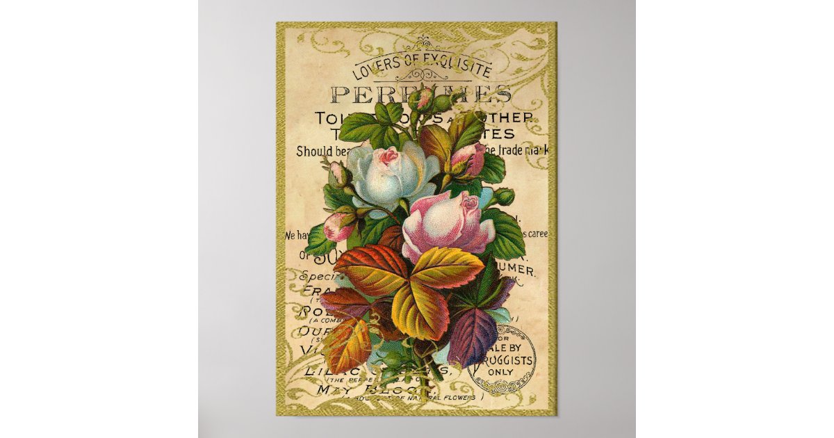 Antique Roses Perfume Butterflies Poster | Zazzle