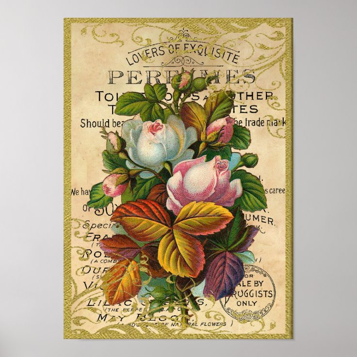 Antique Roses Perfume Butterflies Poster | Zazzle