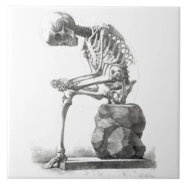 Antique Skeleton Anatomy: Gothic Halloween Medical Ceramic Tile | Zazzle
