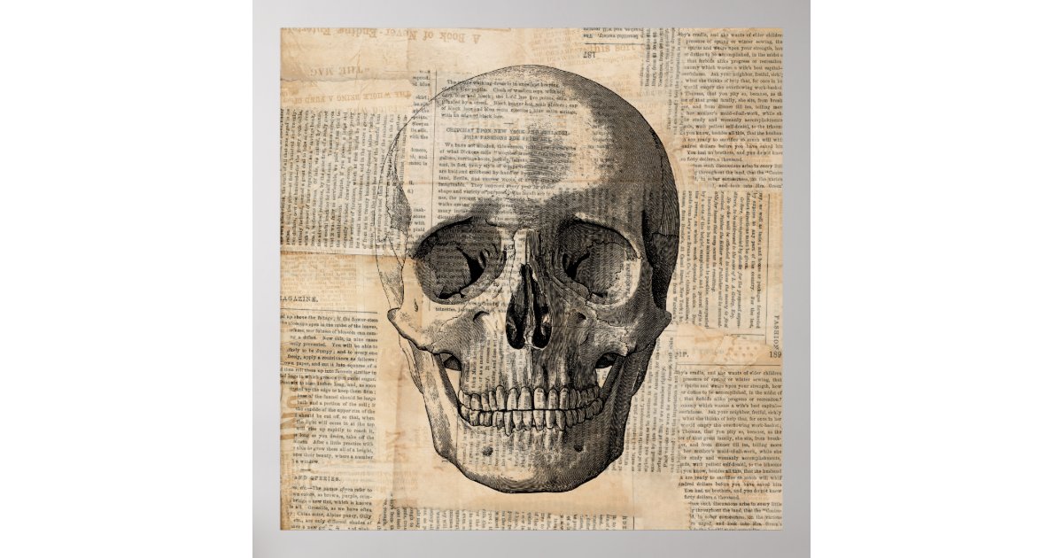 Antique Skull Illustration Vintage Art News Print | Zazzle