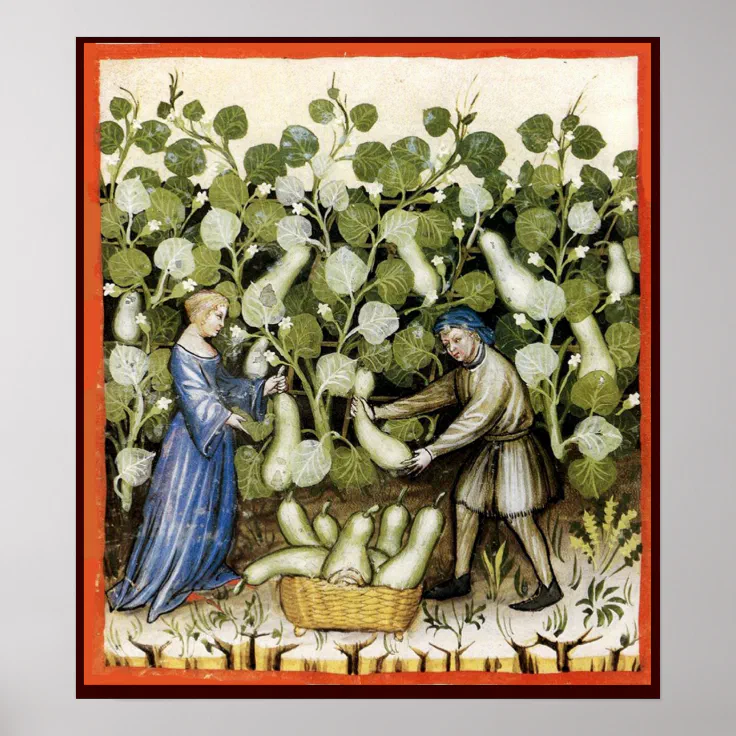 ANTIQUE SQUASH HARVEST POSTER | Zazzle