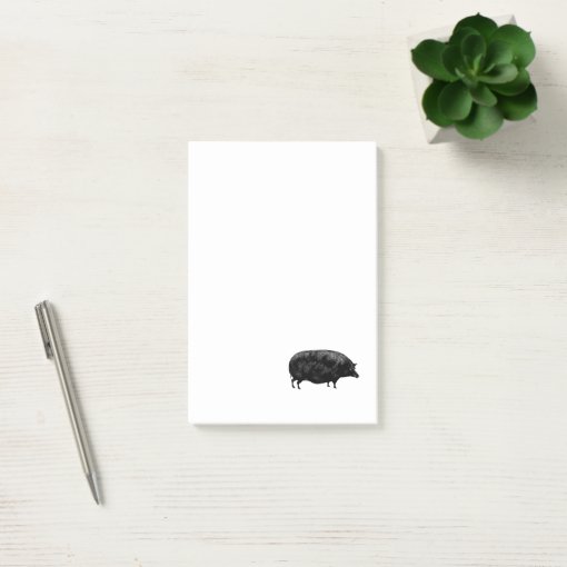 Antique Vintage Pig Post-it Notes | Zazzle