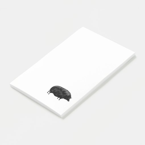 Antique Vintage Pig Post-it Notes | Zazzle