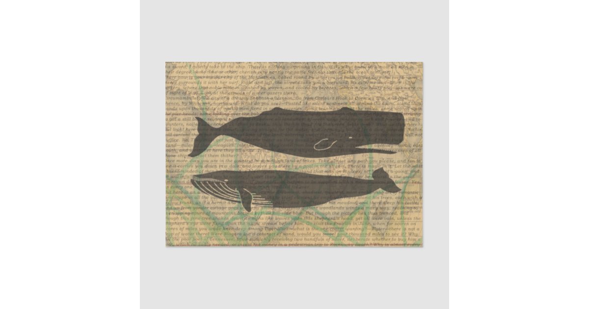 Antique Whale Nautical: Vintage Sea Life Tissue Paper | Zazzle