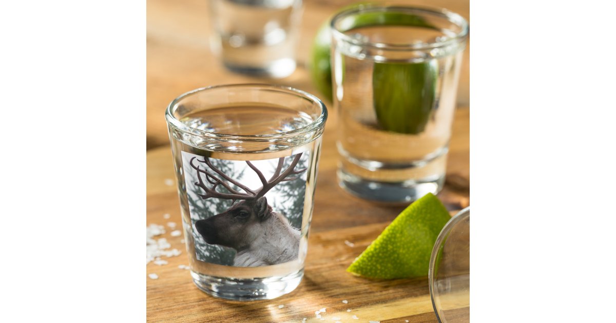 Antlered Caribou Photo Shot Glass | Zazzle