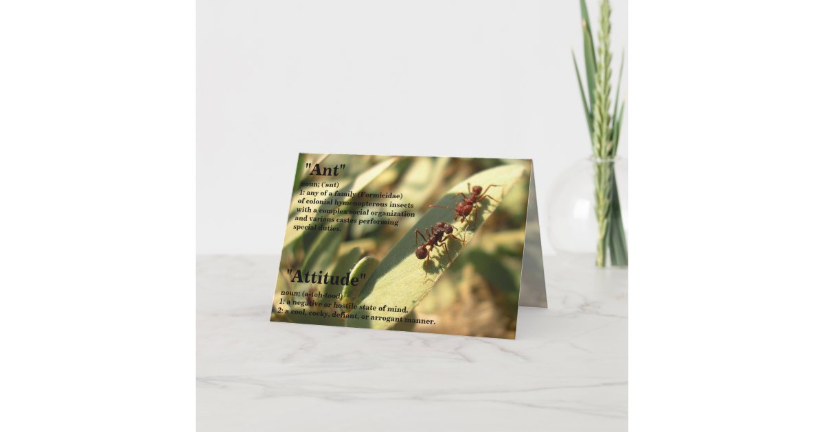 Ants & Attitude - Greeting Card #2 | Zazzle
