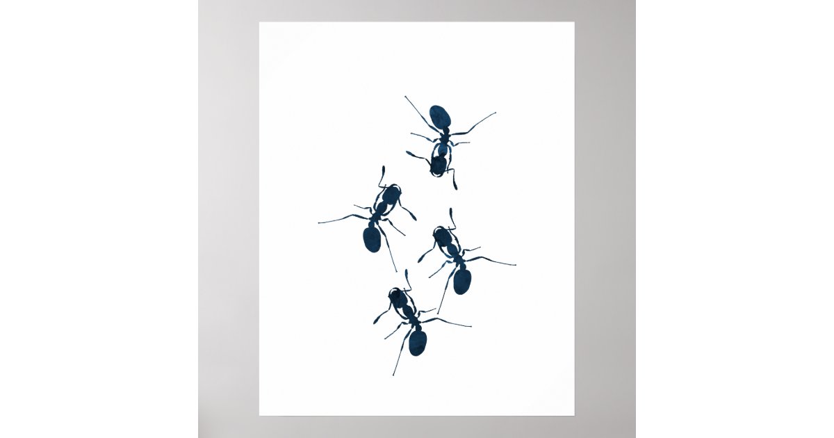 Ants Poster | Zazzle