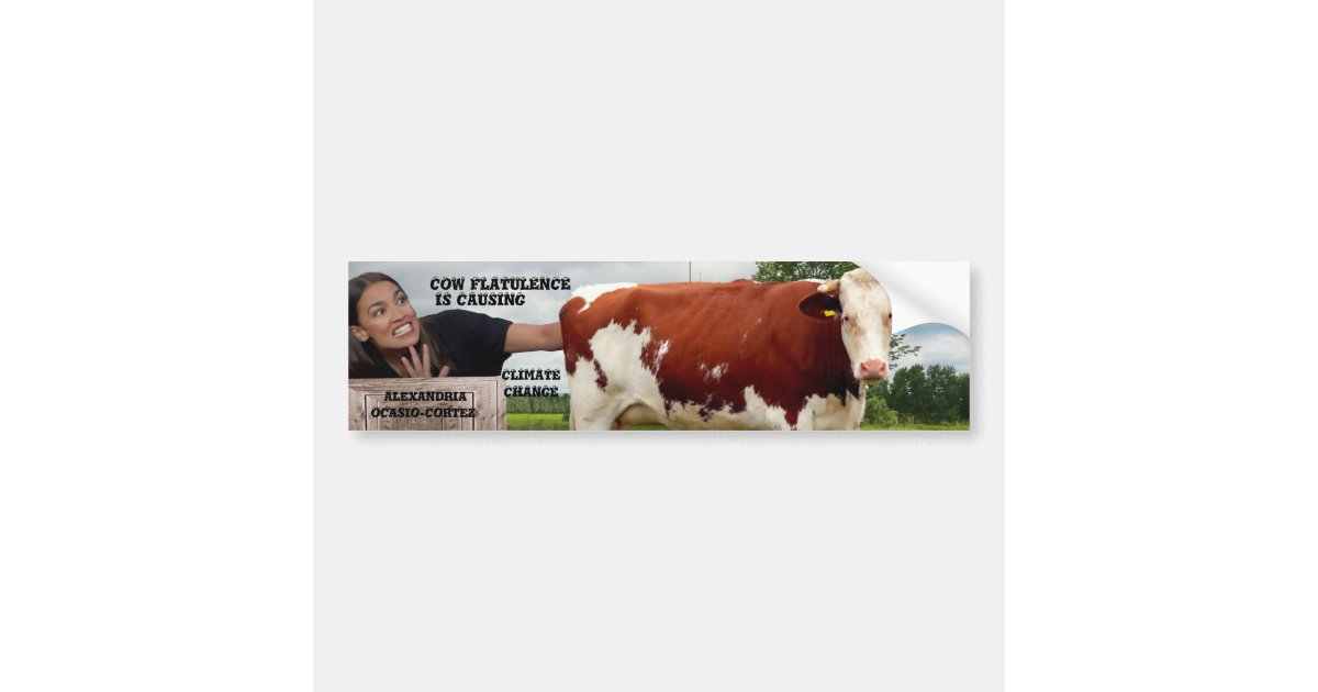AOC-CLIMATE CHANGE BUMPER STICKER | Zazzle