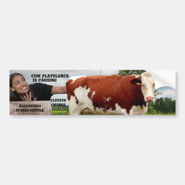 AOC-CLIMATE CHANGE BUMPER STICKER | Zazzle