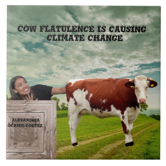 AOC-CLIMATE CHANGE* CERAMIC TILE | Zazzle.com