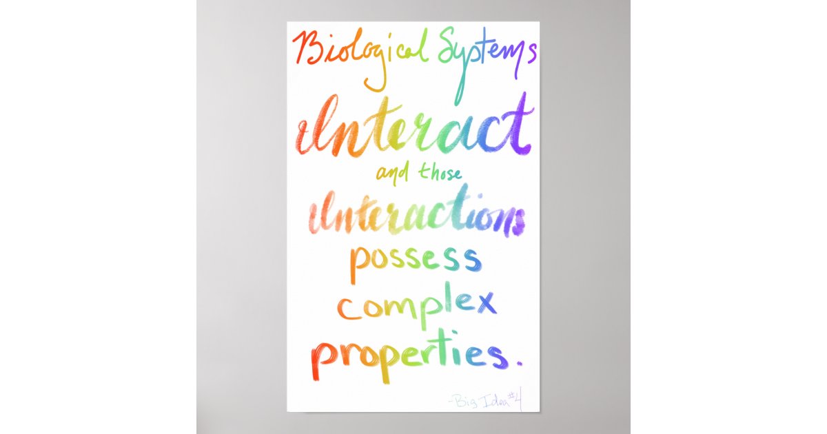 AP Biology Big Idea Four Poster | Zazzle
