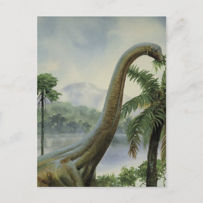 Apatosaurus (Brontosaurus) Eating Illustration Postcard | Zazzle.com