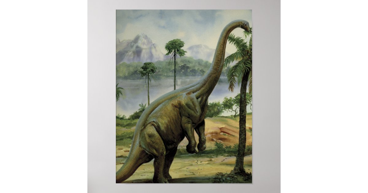Apatosaurus (Brontosaurus) Eating Illustration Poster | Zazzle