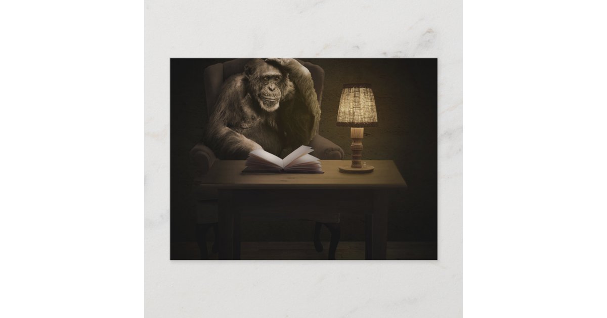 Ape Chimpanzee Monkey Postcard | Zazzle