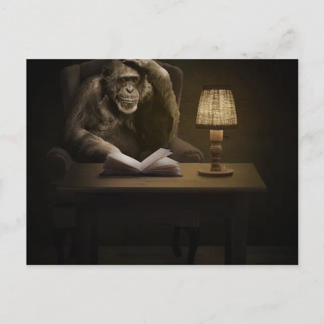 Ape Chimpanzee Monkey Postcard | Zazzle
