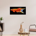 Aphyosemion Australe Killifish Poster | Zazzle