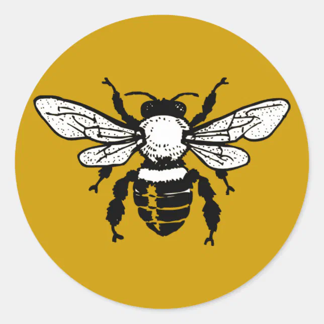 Apis Mellifera Honeybee Sticker | Zazzle