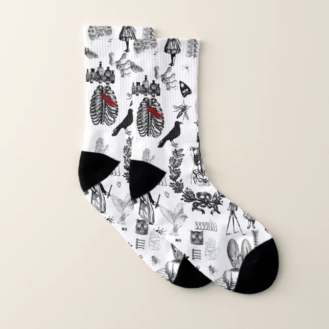 Apothecary Socks | Zazzle