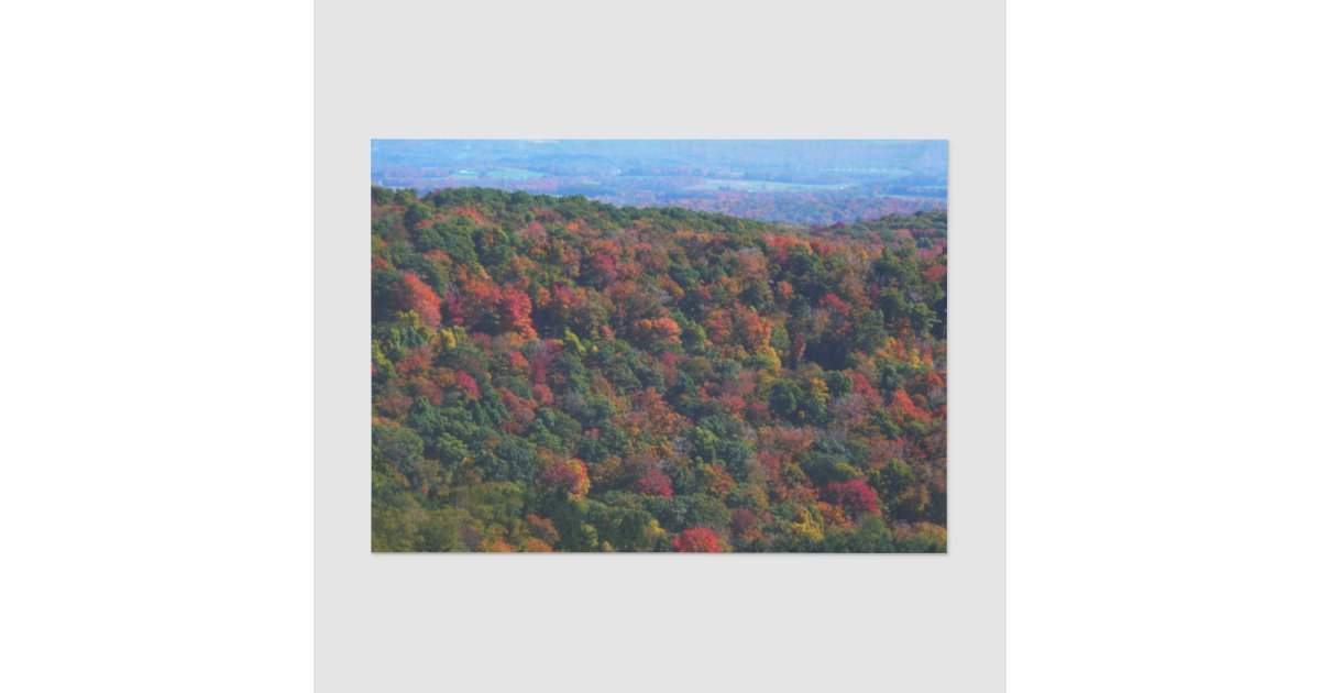 Appalachian Mountains in Fall Tissue Paper | Zazzle