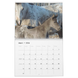 Appaloosa Calendar | Zazzle
