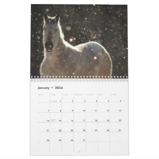 Appaloosa Calendar | Zazzle