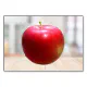 Apple ABA Tact Labeling Flashcard | Picture Cards | Zazzle