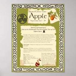 APPLE CELTIC SACRED TREE POSTER | Zazzle