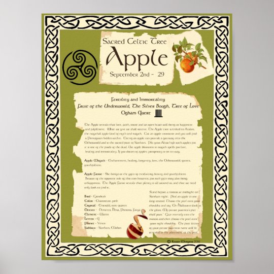 APPLE CELTIC SACRED TREE POSTER | Zazzle.com