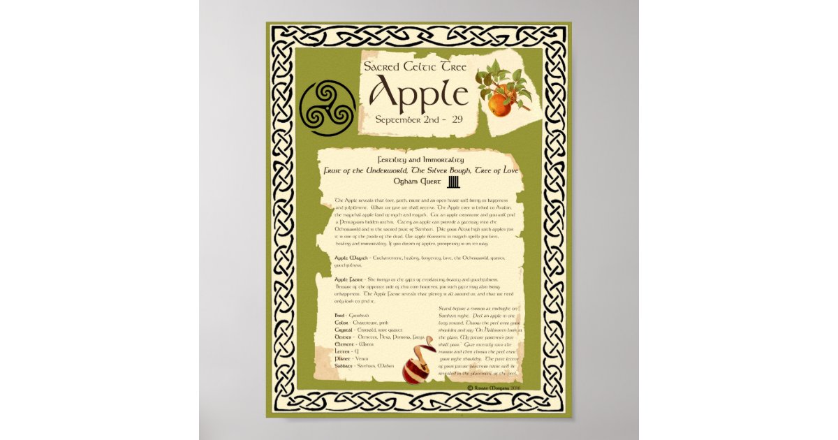 APPLE CELTIC SACRED TREE POSTER | Zazzle