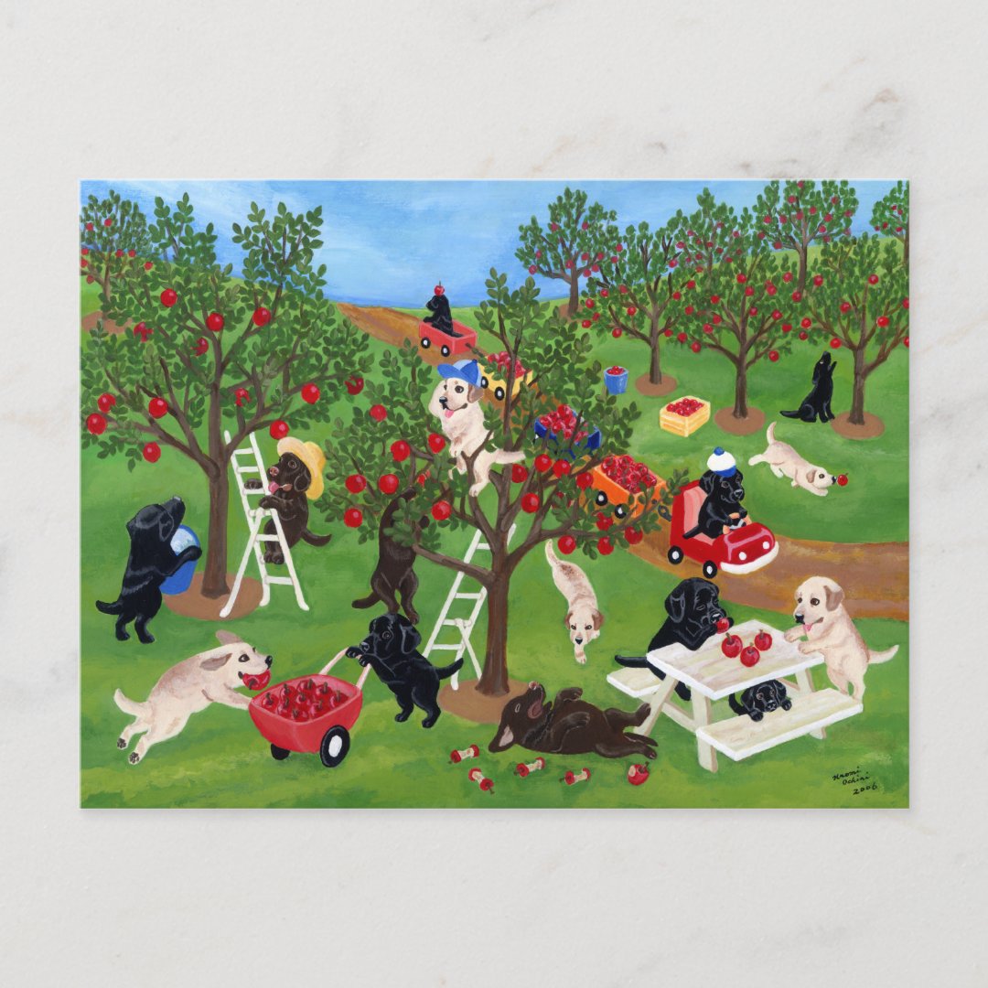 Apple Farm Labradors Postcard | Zazzle