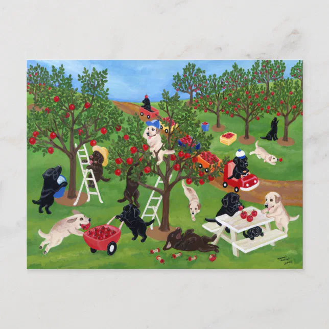 Apple Farm Labradors Postcard | Zazzle