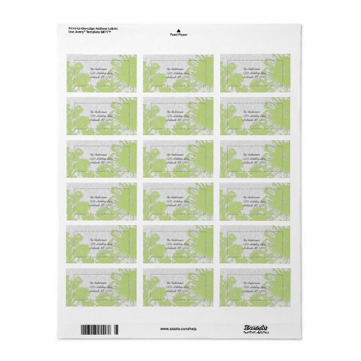 Apple Green Daisy Return Address Labels | Zazzle
