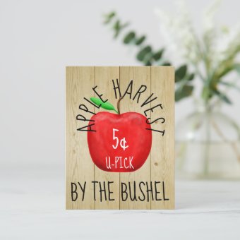 Apple Harvest Vintage Sign Postcard | Zazzle