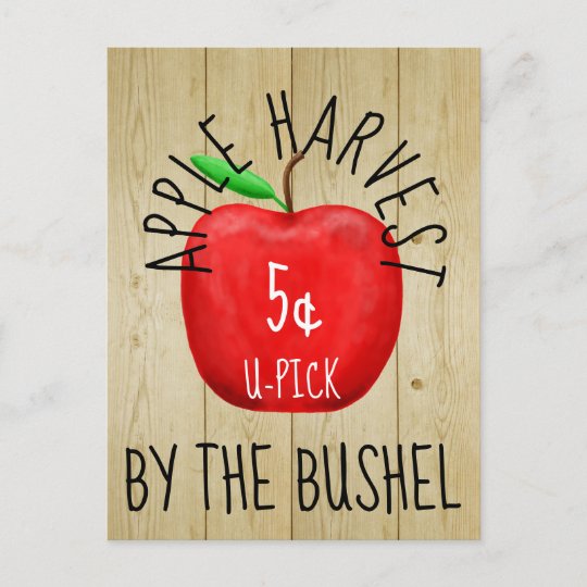 Apple Harvest Vintage Sign Postcard | Zazzle.com