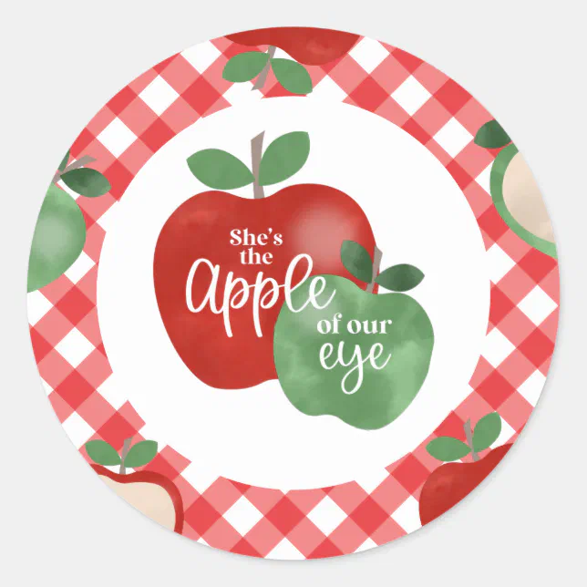 Apple of our Eye 1st Birthday Classic Round Sticker | Zazzle