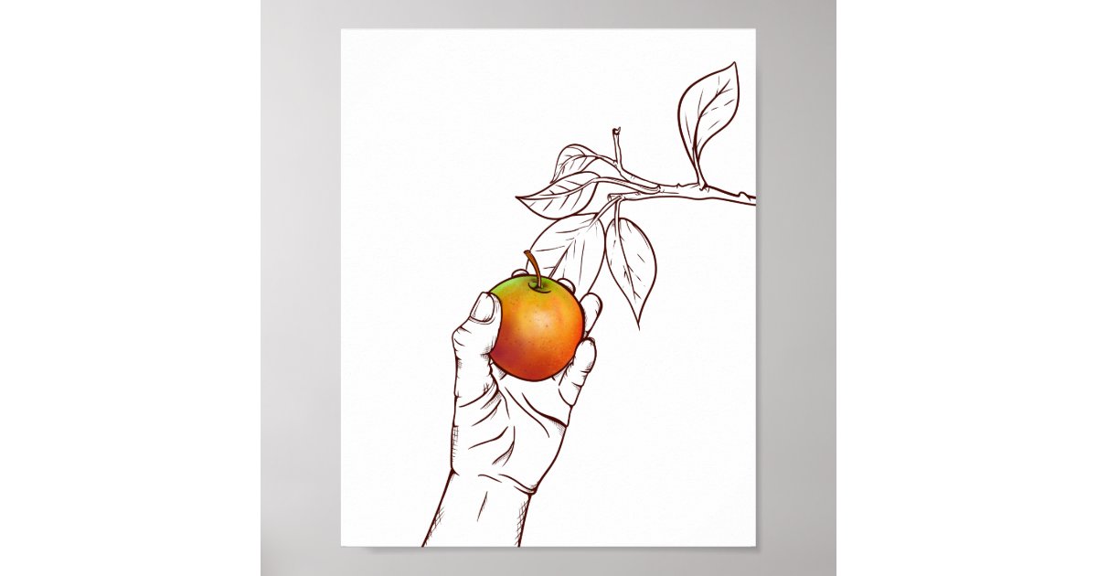 Apple picking poster | Zazzle