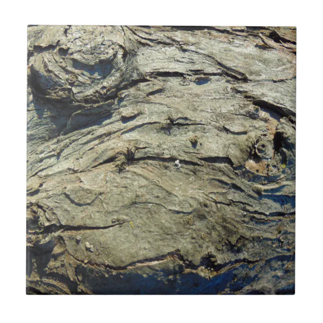 Apple Tree Bark Texture Ceramic Tile | Zazzle
