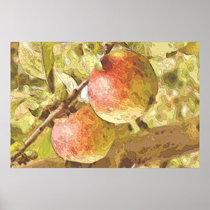 APPLES POSTER | Zazzle