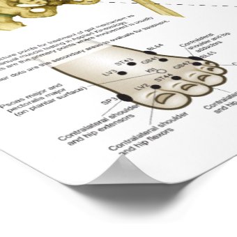 Applied Kinesiology Chiropractic Osteopath Poster | Zazzle