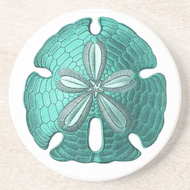 Aqua Sand Dollar Stone Coaster | Zazzle