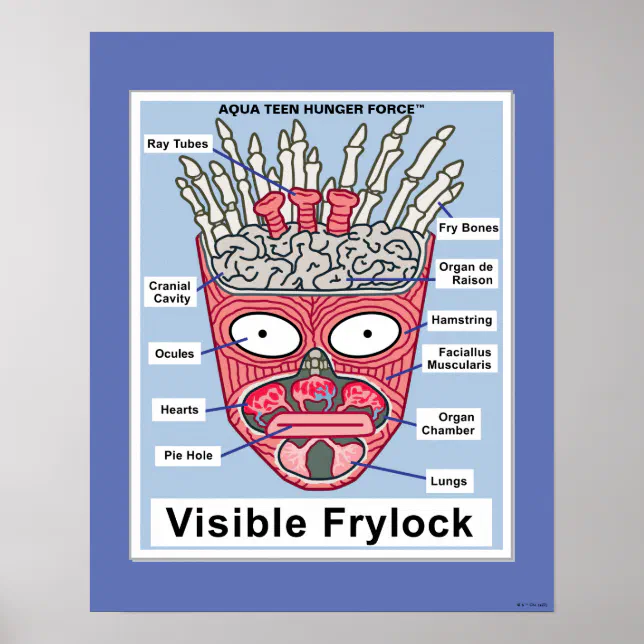 Aqua Teen Hunger Force Visible Frylock Poster | Zazzle