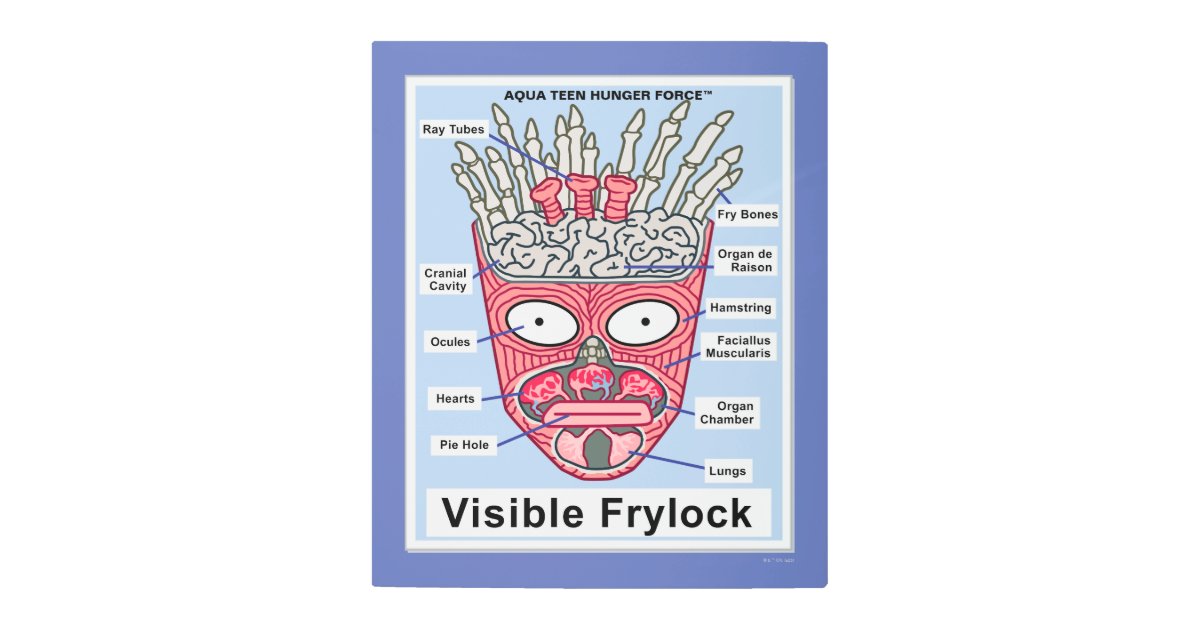 Aqua Teen Hunger Force Visible Frylock Poster | Zazzle