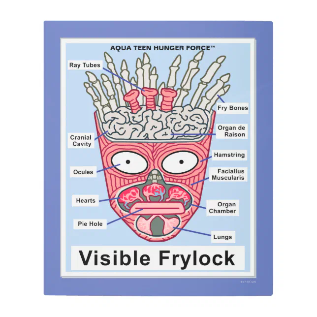 Aqua Teen Hunger Force Visible Frylock Poster | Zazzle