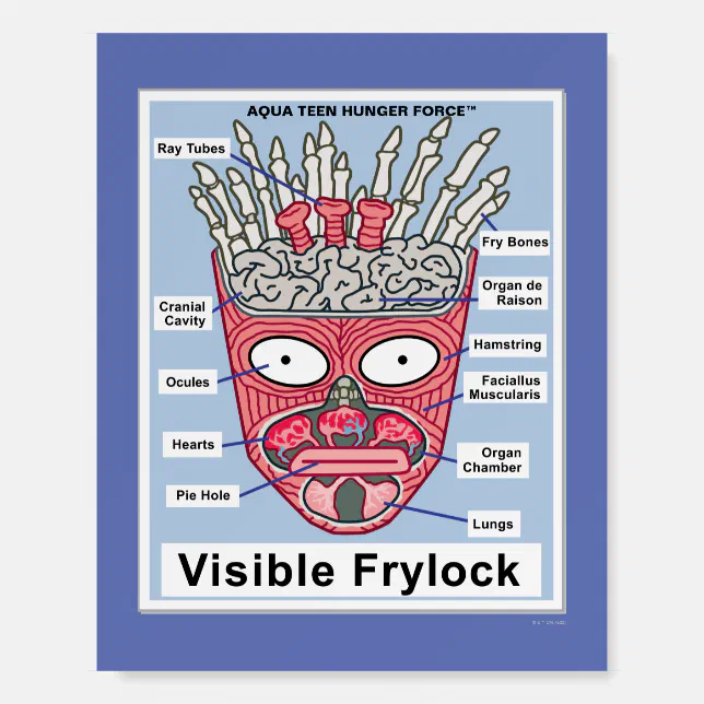 Aqua Teen Hunger Force Visible Frylock Poster | Zazzle