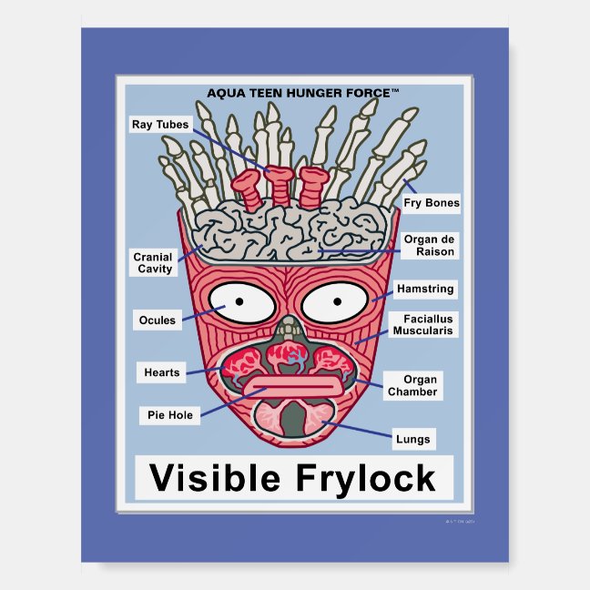 Aqua Teen Hunger Force: Official Merchandise at Zazzle