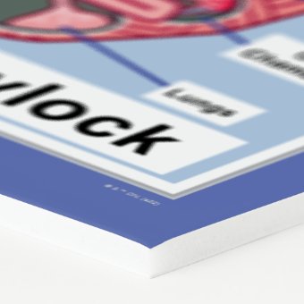 Aqua Teen Hunger Force Visible Frylock Poster | Zazzle