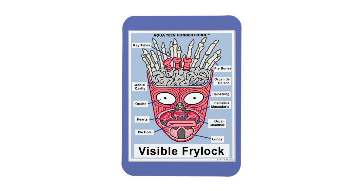 Aqua Teen Hunger Force Visible Frylock Poster Magnet | Zazzle