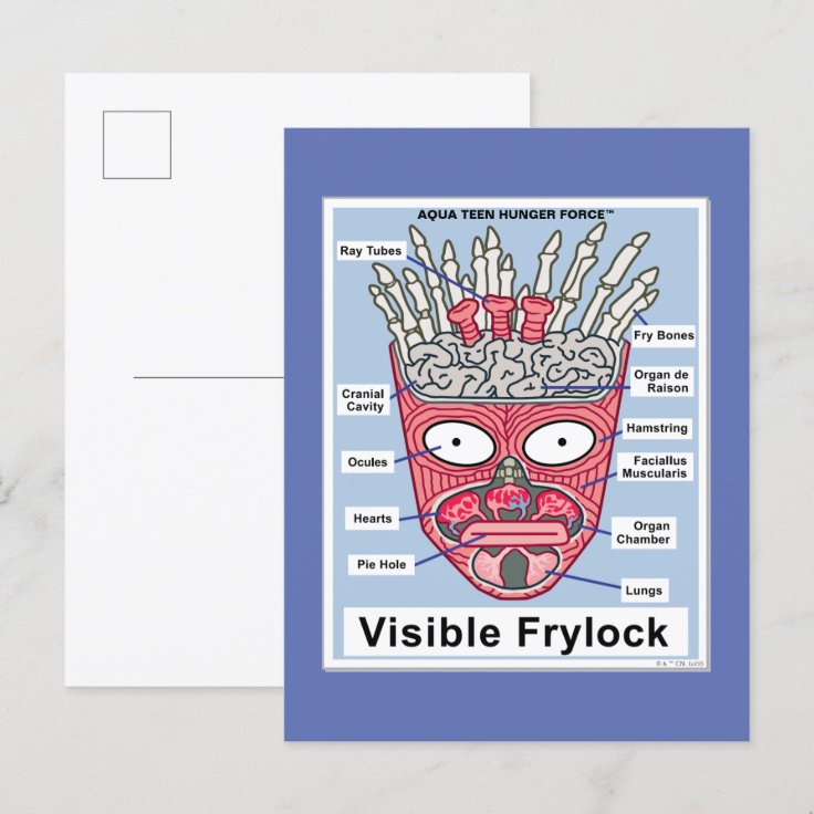 Aqua Teen Hunger Force Visible Frylock Poster Postcard | Zazzle