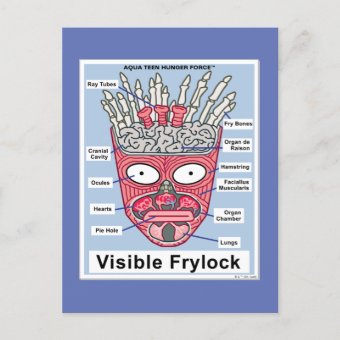 Aqua Teen Hunger Force Visible Frylock Poster Postcard | Zazzle