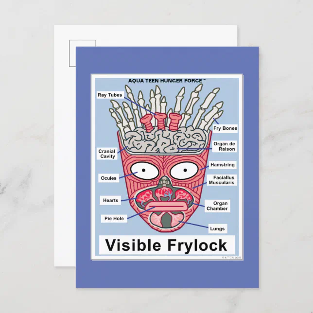 Aqua Teen Hunger Force Visible Frylock Poster Postcard | Zazzle